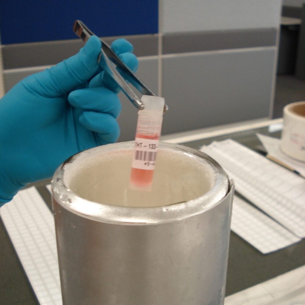 Self-laminating polyester labels for laboratory environment for M210 ...